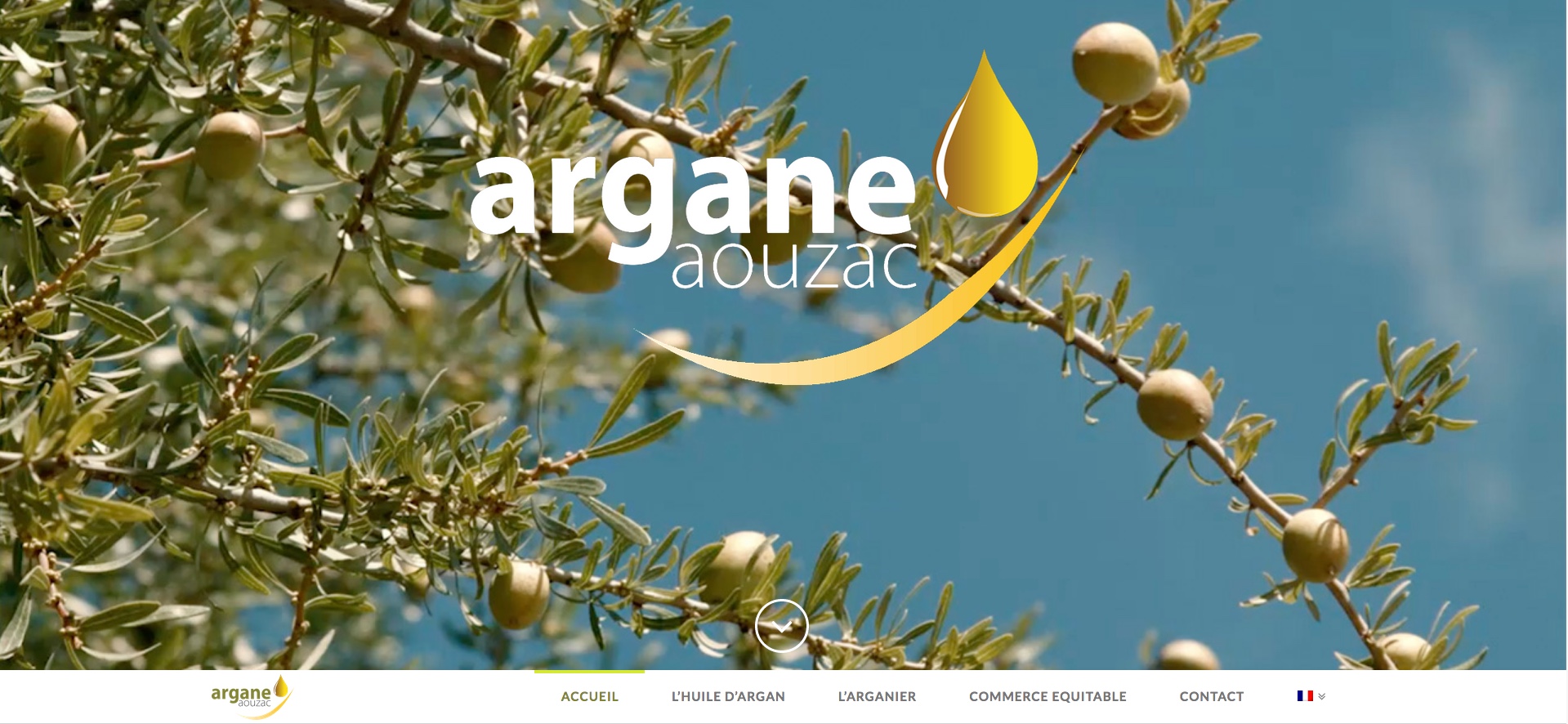 ARGAN OIL | Argane Aouzac